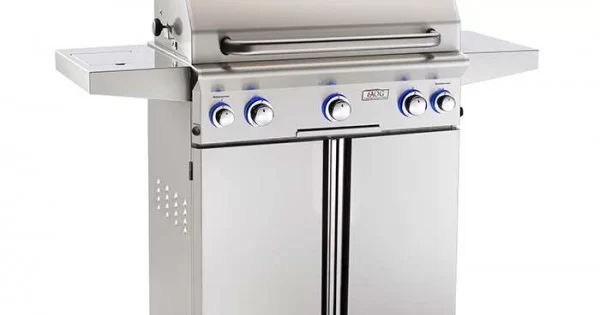 American Outdoor Grill By Fire Magic 30-inch L Series Portable Grill ...